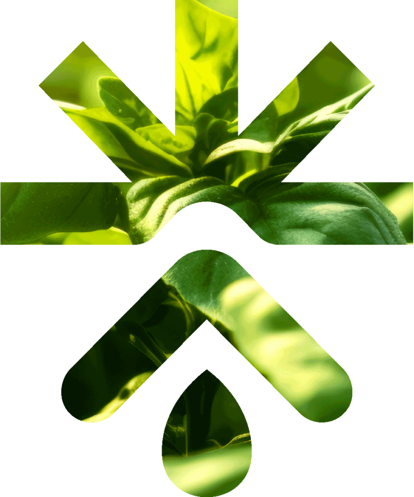 Crop Types - Apex Greenhouses