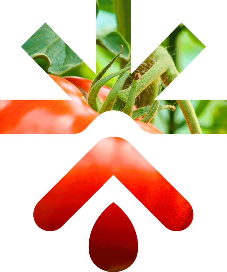 Crop Types - Apex Greenhouses